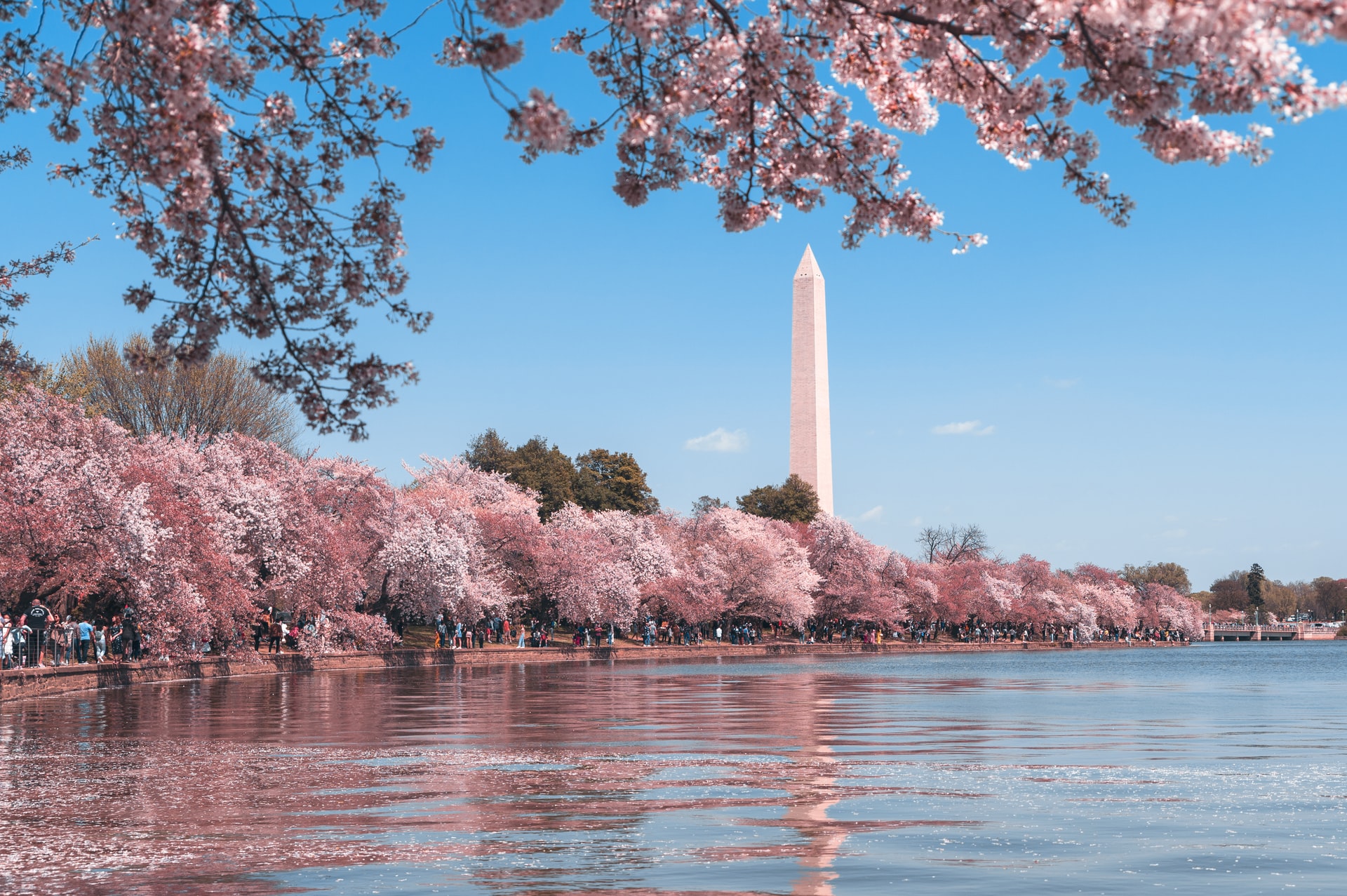 Latin Dance Events in Washington DC - Baltimore